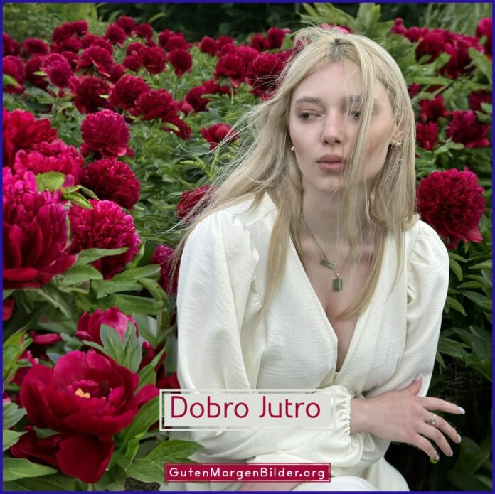 100 Najbolje Dobro Jutro Slike GIF