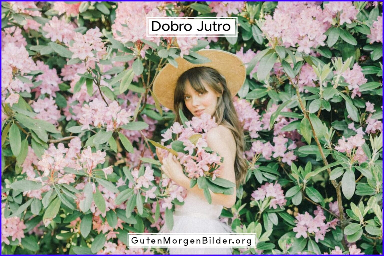 100 Najbolje Dobro Jutro Slike GIF